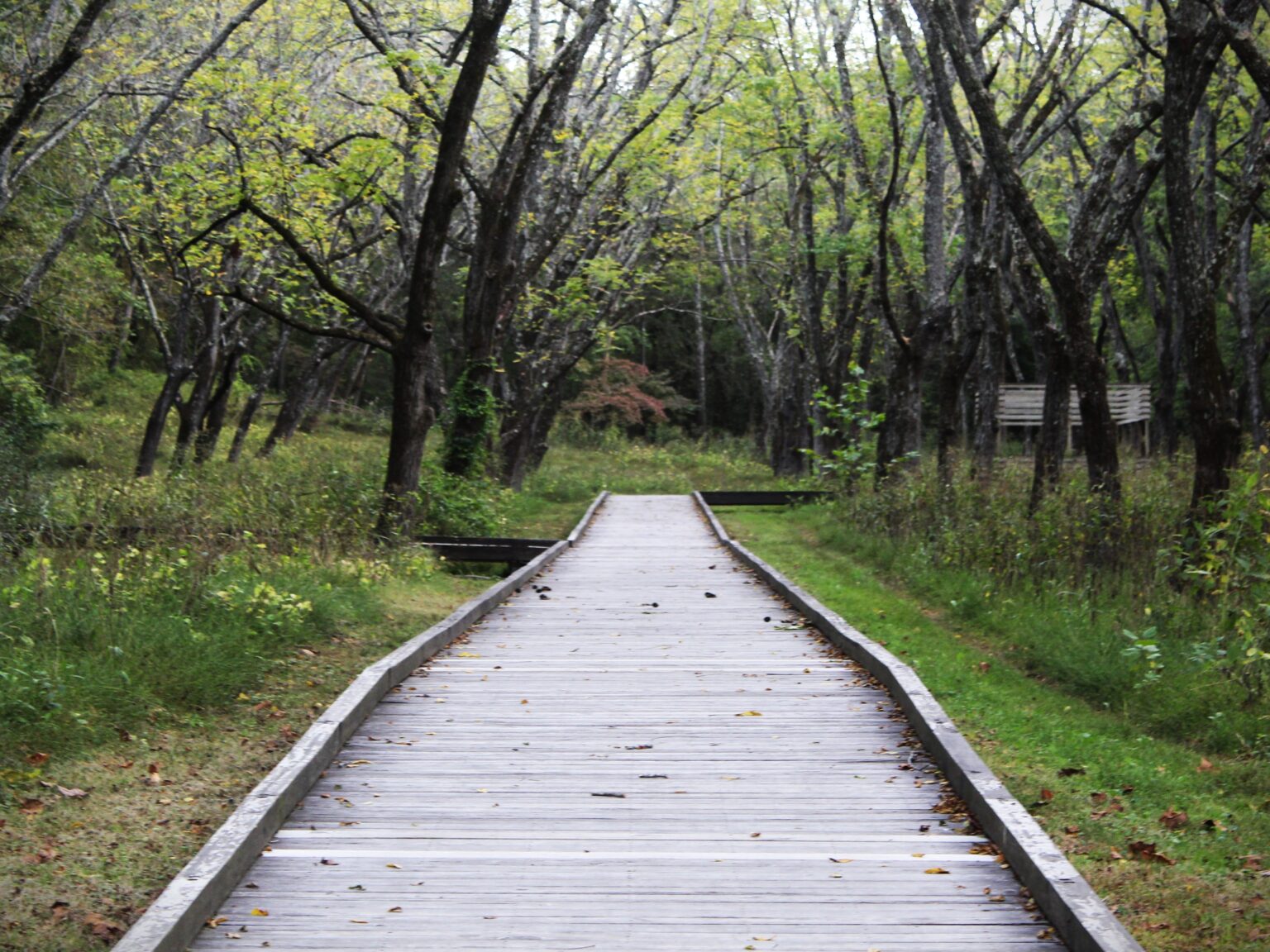 The Top Things to Do in Rogers, Arkansas: A Traveler's Guide